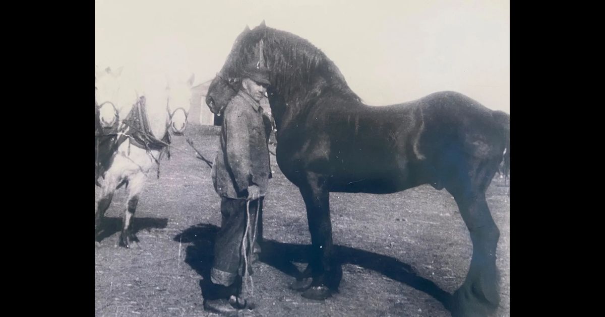 Harrah Brothers - William Milton & James R.