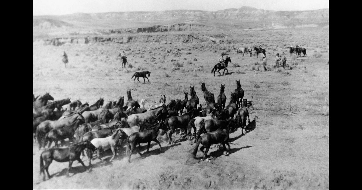 Chappel Brothers Corporation