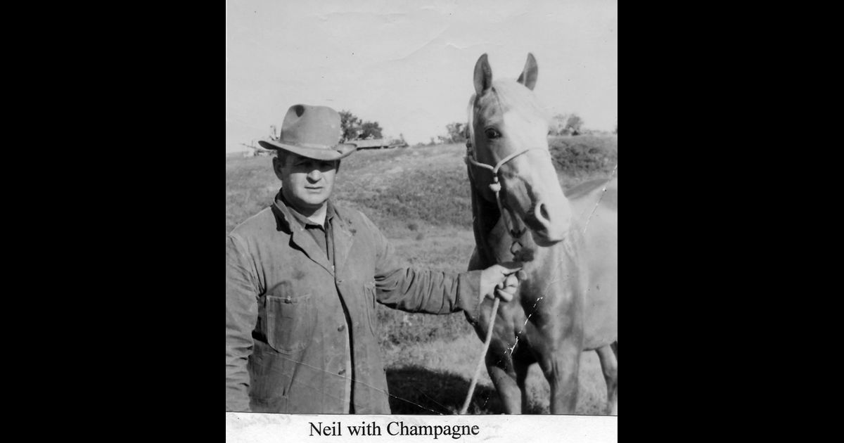 Edmund N. "Neil" Taylor Legacy