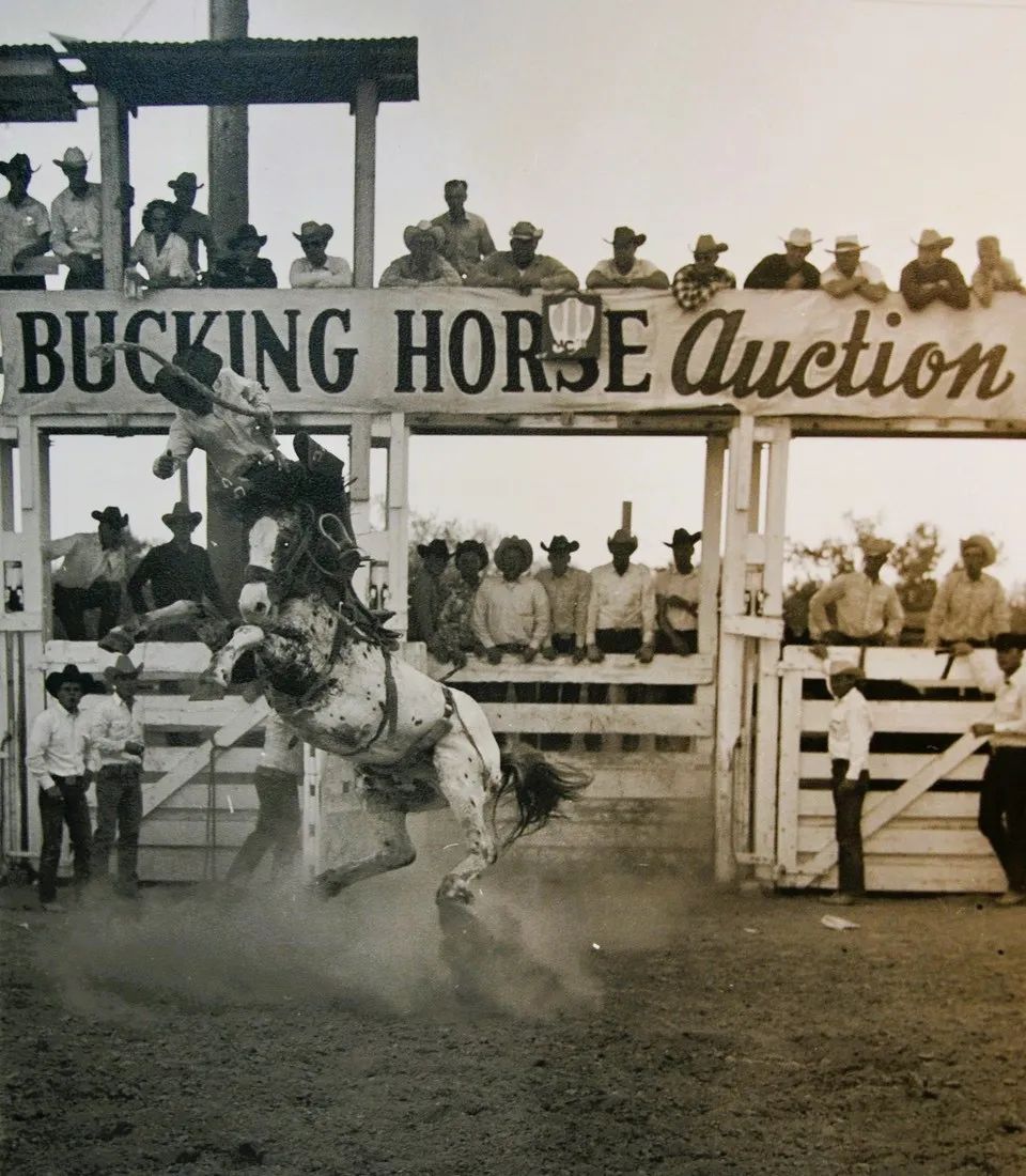 World Famous Miles City Bucking Horse Sale