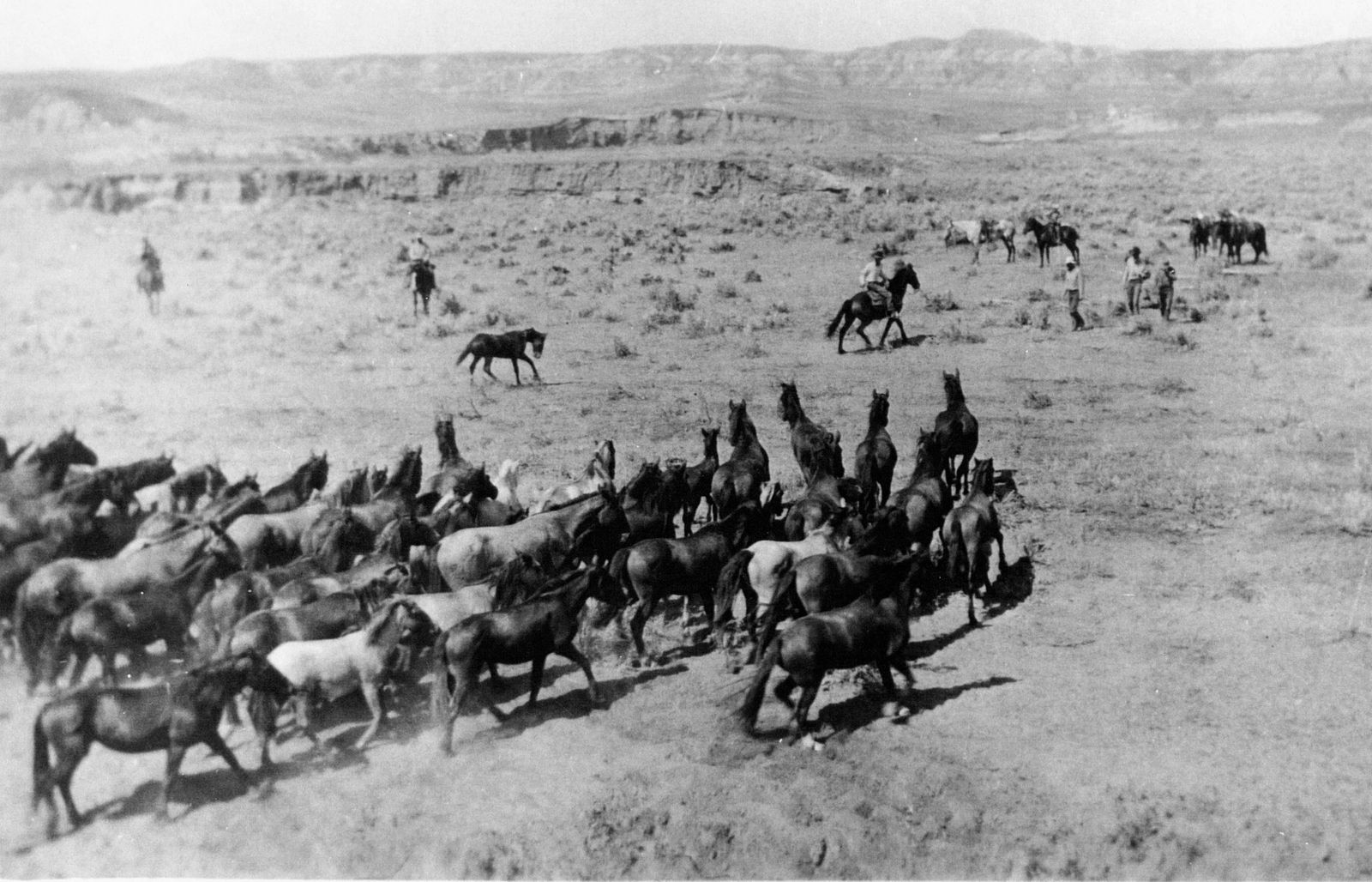 Chappel Brothers Corporation