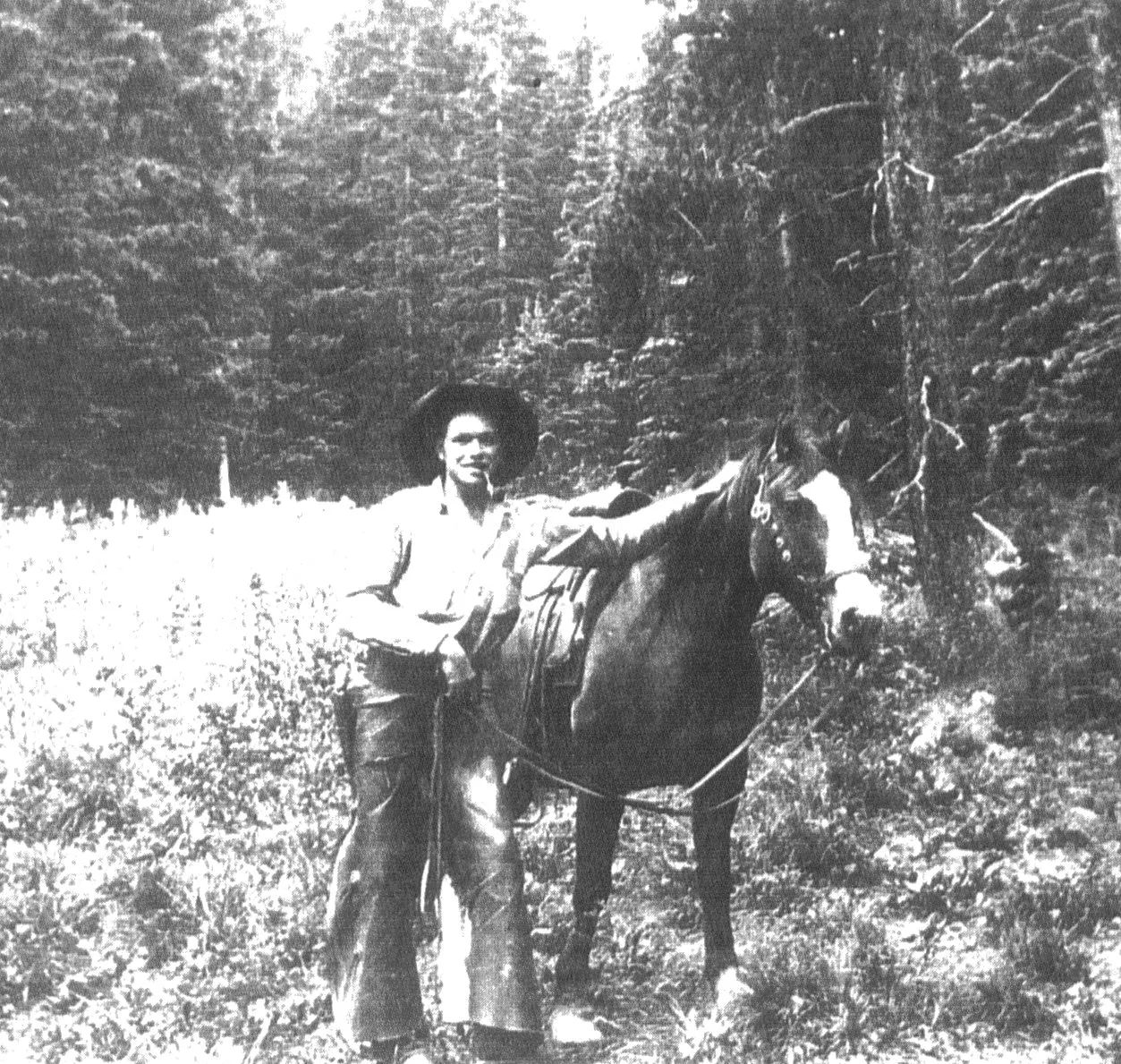 Stephen Woodrow "Steve" Mosher