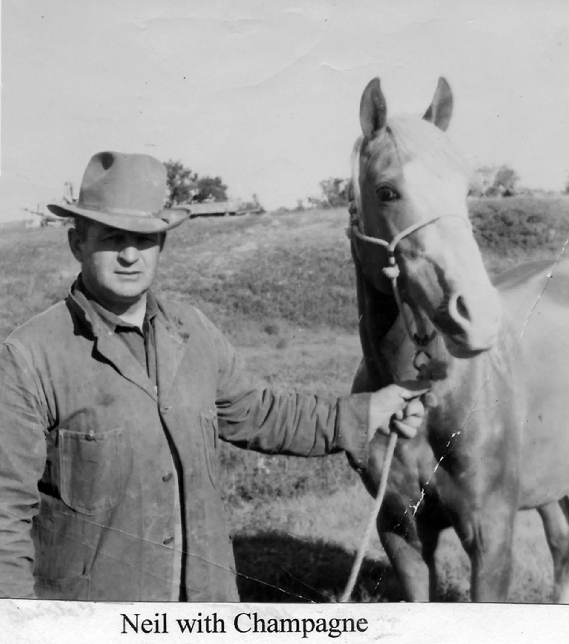 Edmund N. "Neil" Taylor Legacy