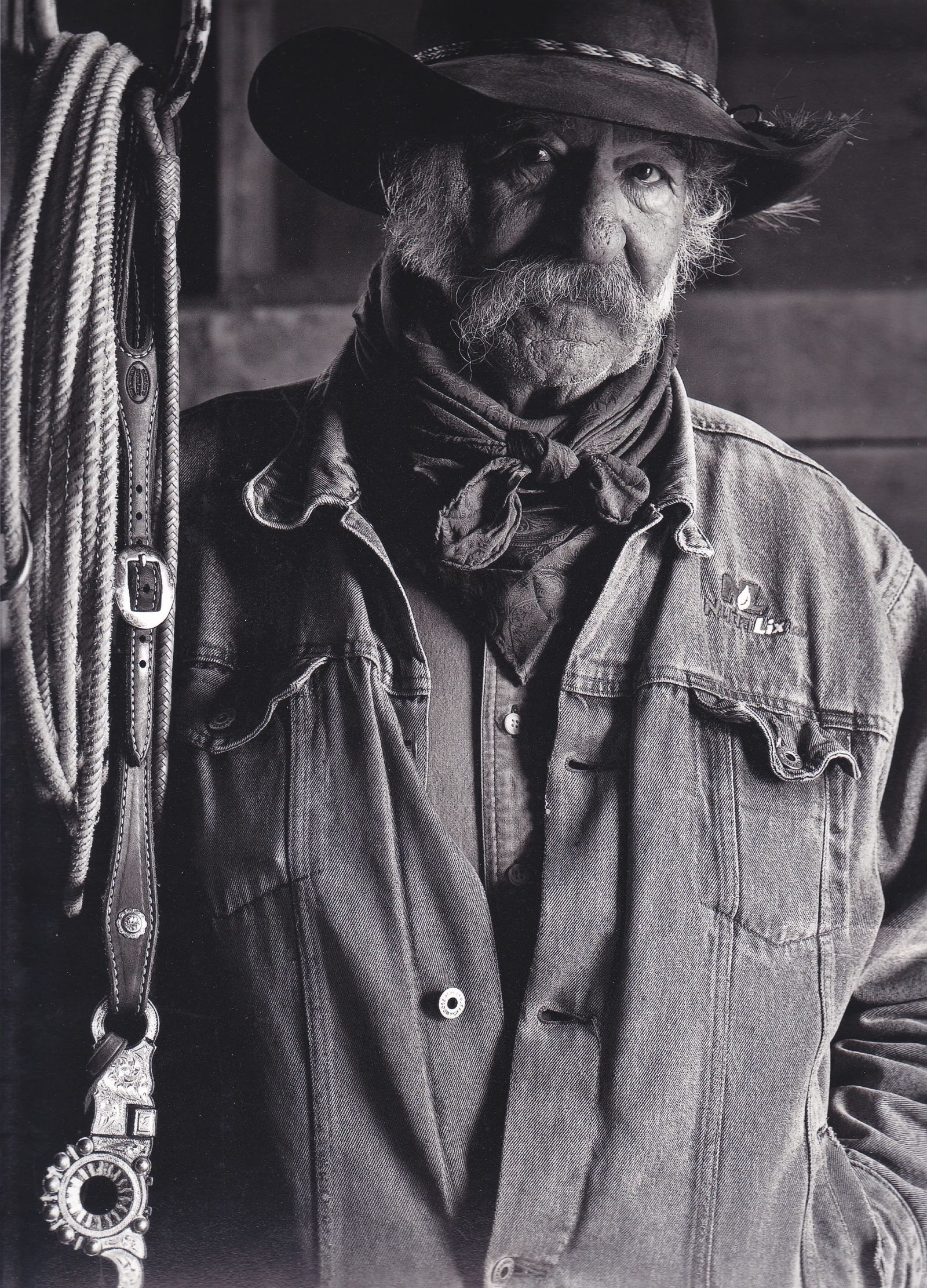 Dr. Raymond P. "Ray" Ansotegui